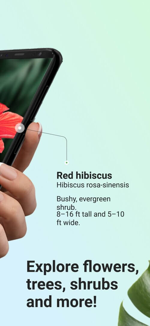 PictureThis V3 70 MOD APK Premium Unlocked Download PictureThis V3 70 MOD APK Premium Unlocked Download