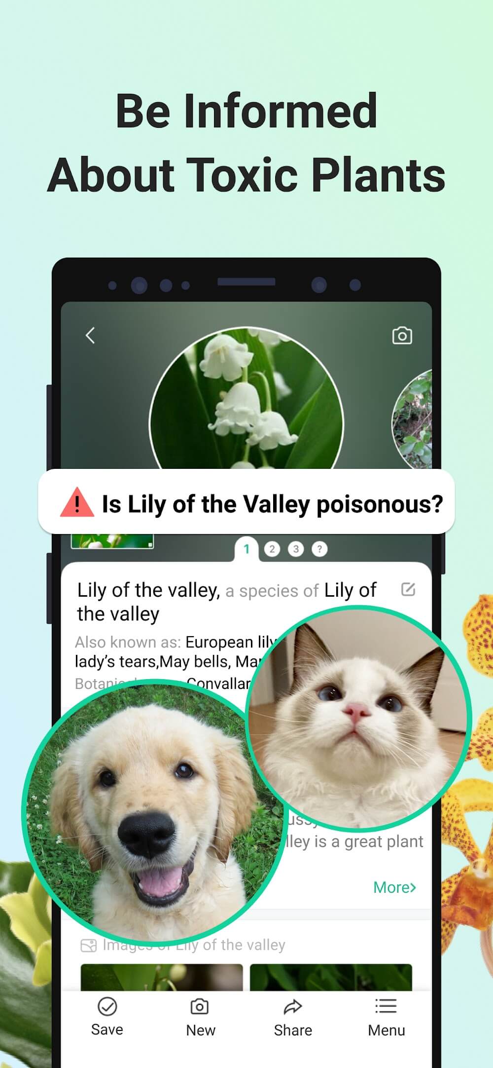 PictureThis V3 71 MOD APK Premium Unlocked Download PictureThis V3 71 MOD APK Premium Unlocked Download